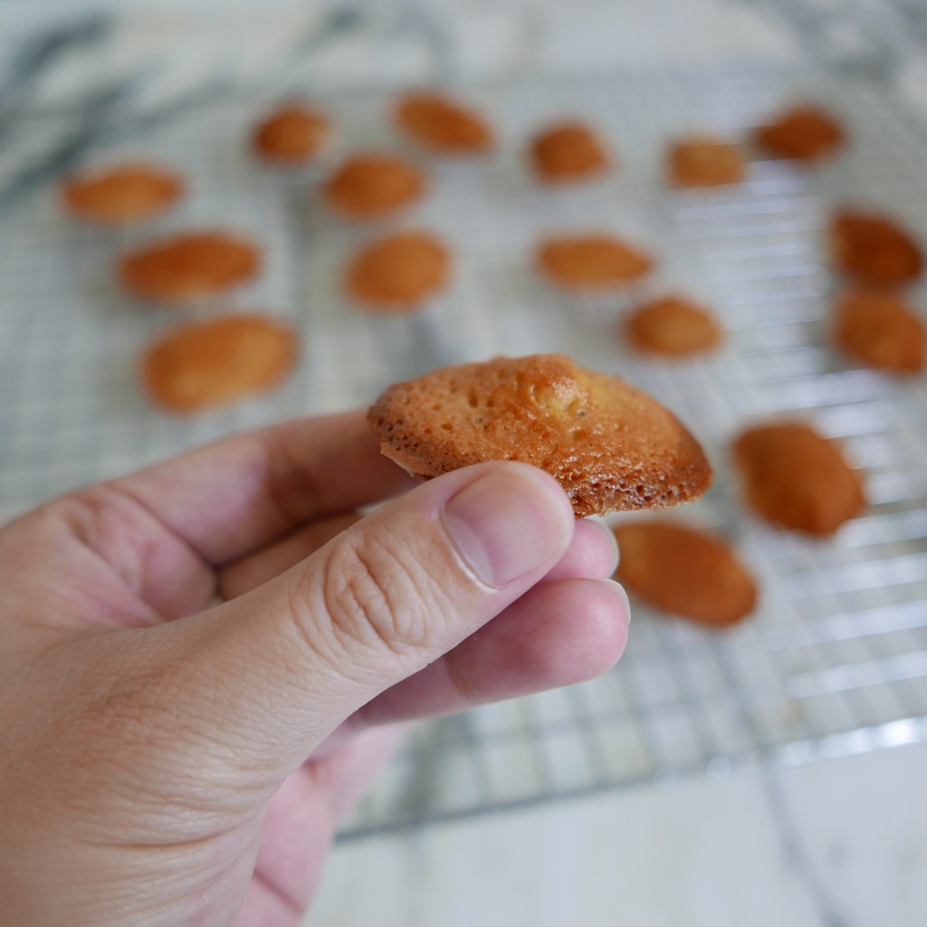 Petit Four Sec: Madeleines and Financiers – Dreaming in Flavours